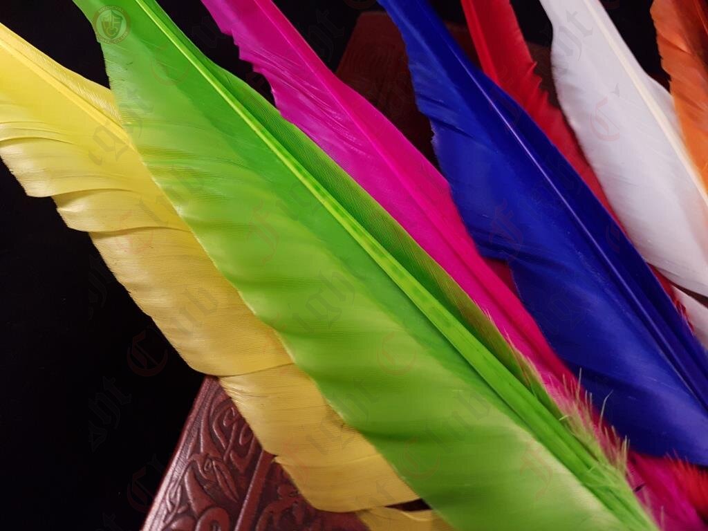 Feather Quill Pen
